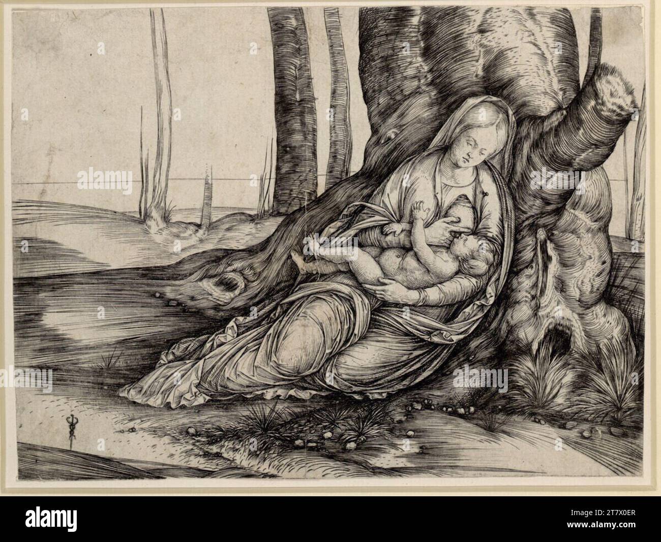 Jacopo de' Barbari Mary with the child, leaning against a tree. Copper ...