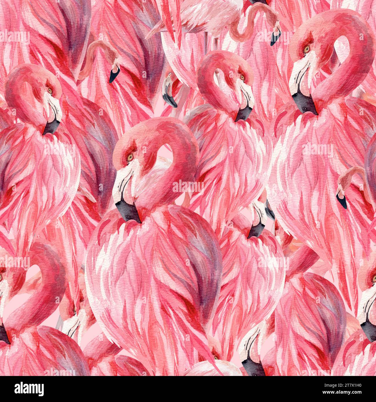 Pink flamingo watercolor pink pattern in beautiful style on white ...
