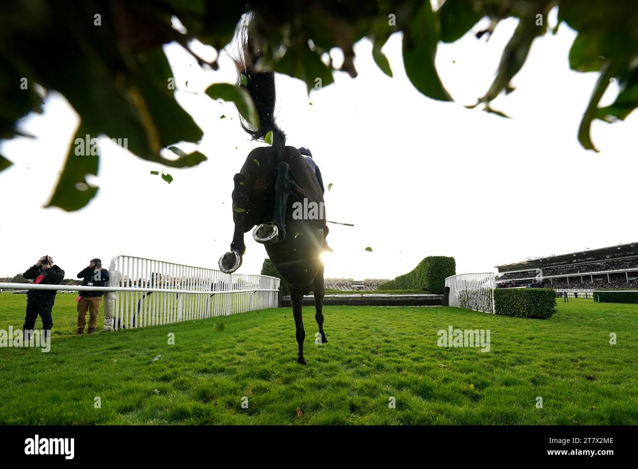 Foxy jacks hi-res stock photography and images - Alamy