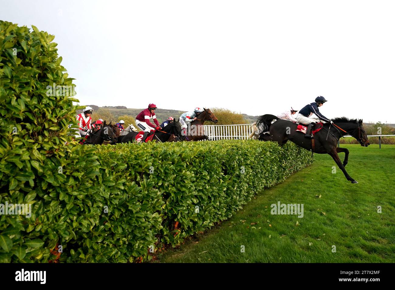 Foxy jacks hi-res stock photography and images - Alamy