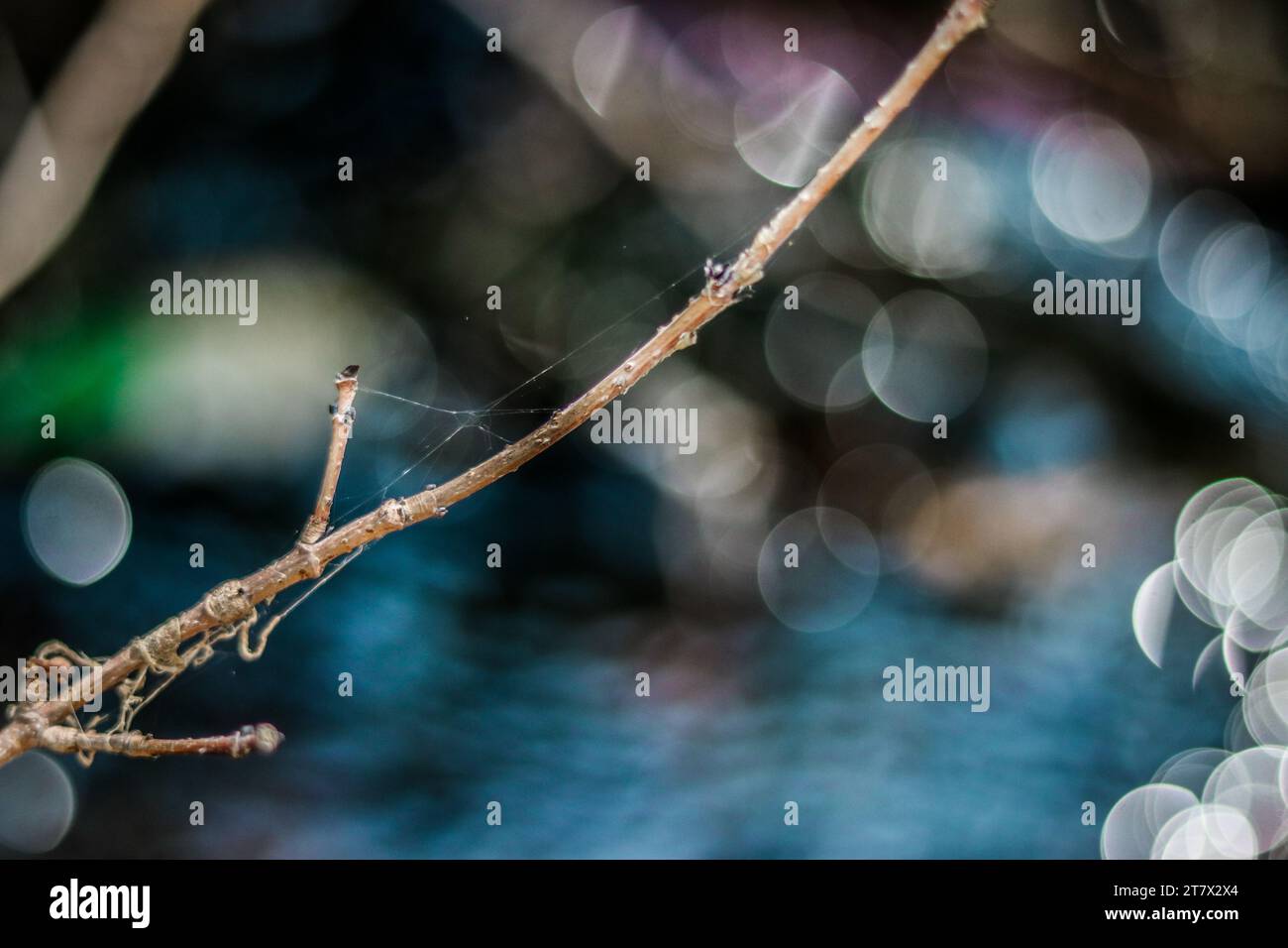 Make up stick hi-res stock photography and images - Alamy