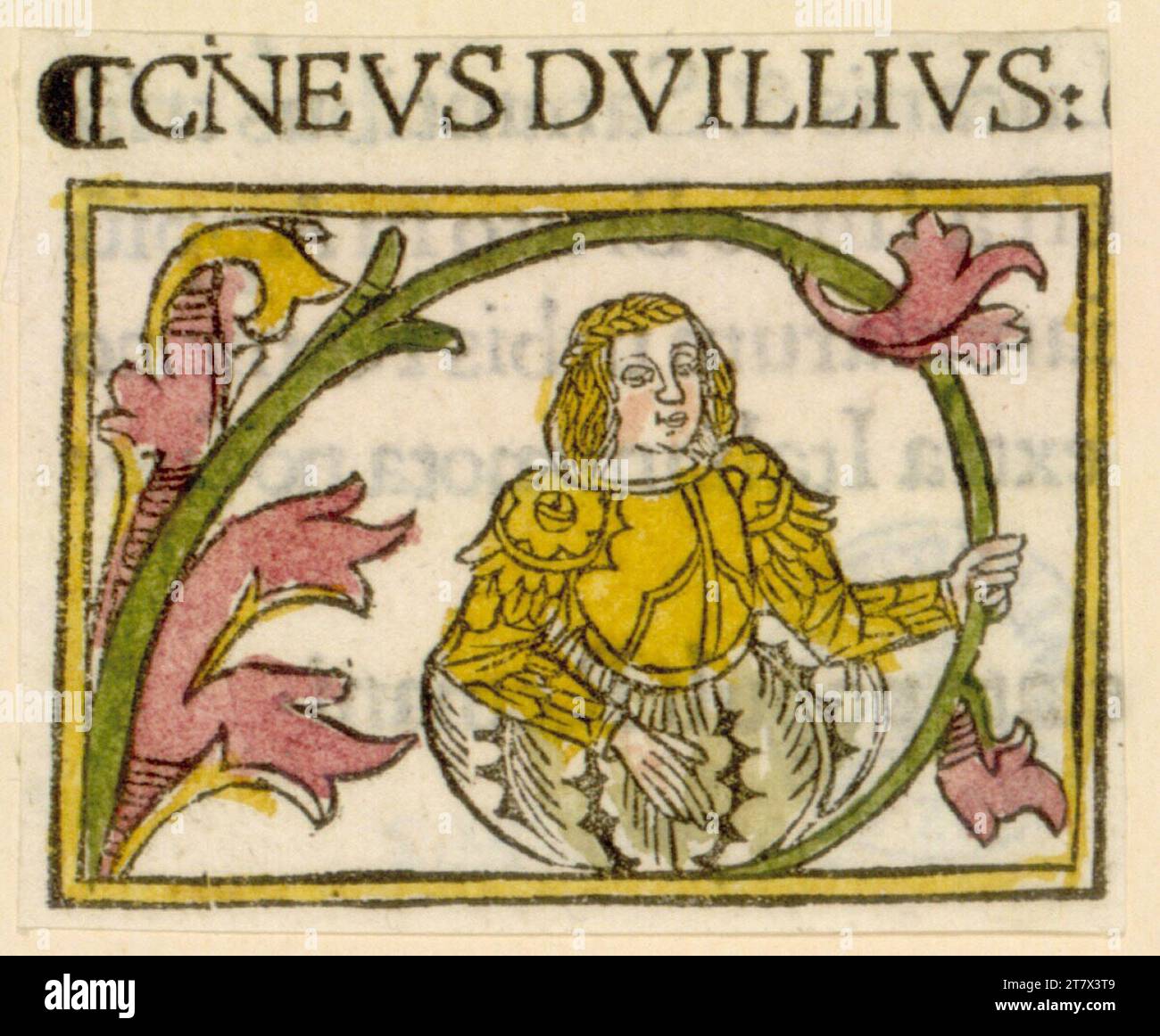 Thomas Ochsenbrunner Gneus Folius. Woodcut, colored 1494 , 1494 Stock ...