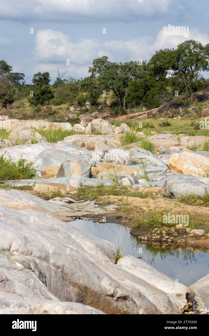 Kruger landscape hi-res stock photography and images - Alamy