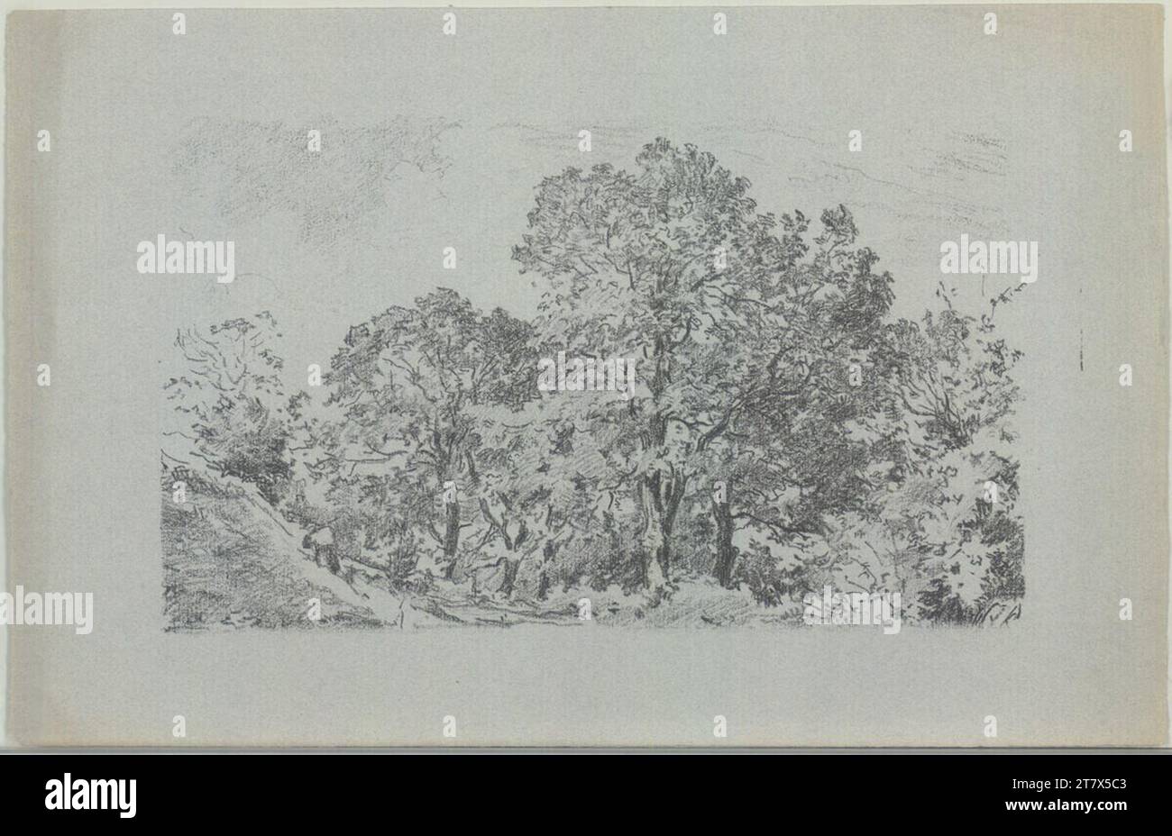 Hermann Heller Nut trees. Lithography 1920 , 1920 Stock Photo - Alamy