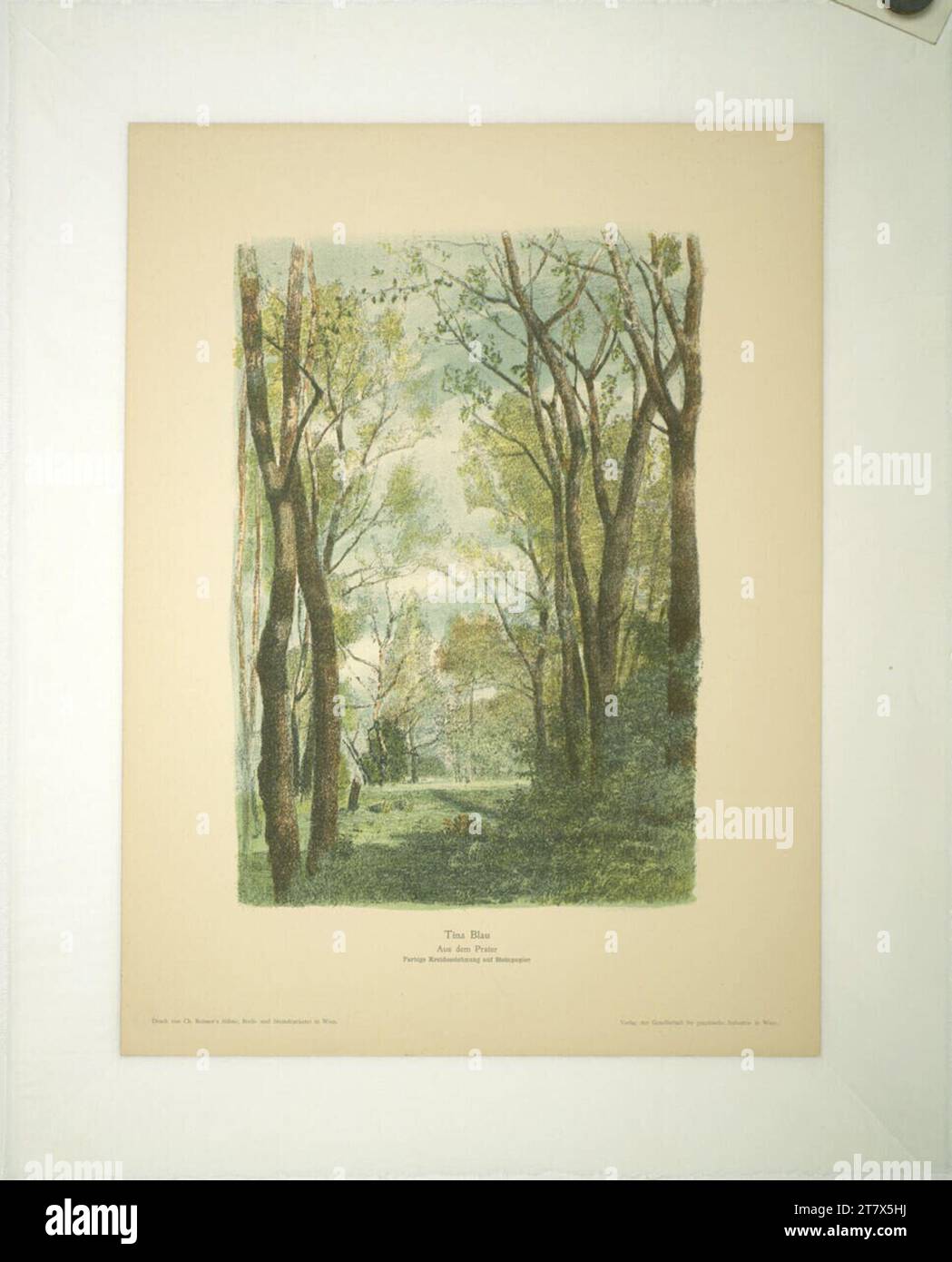 Tina Blau From the Prater. Lithograph, colored chalk drawing on stone ...