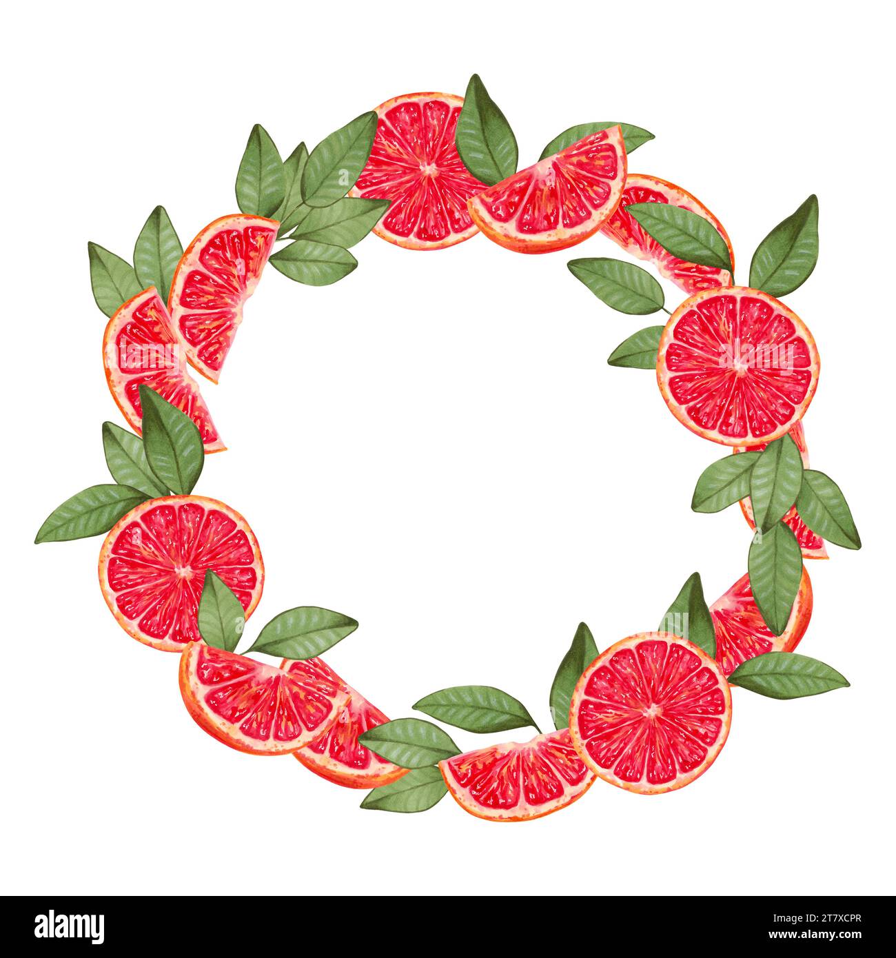 Round grapefruit wreath.Fruit frame made of ripe fruit slices with ...