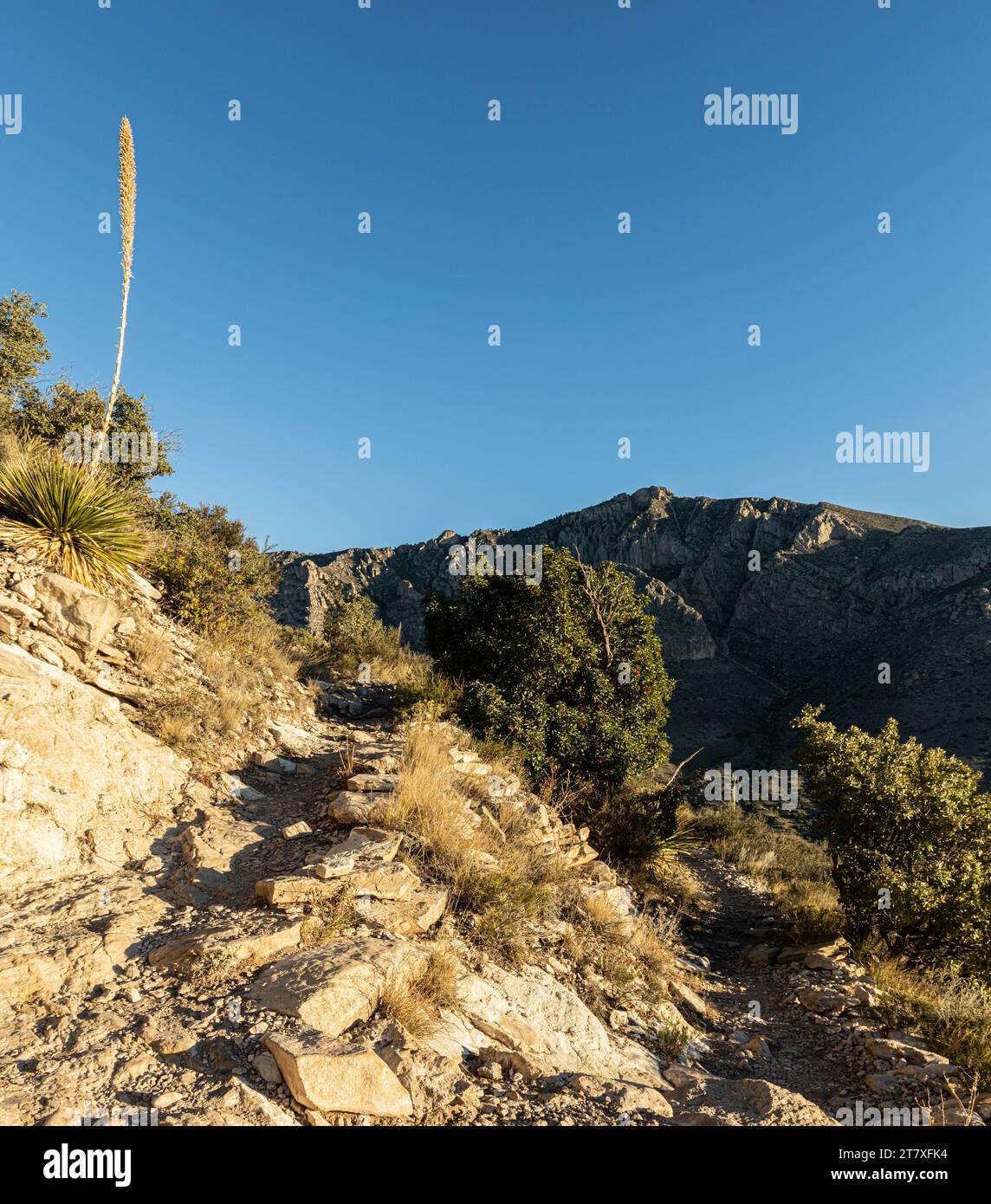 Switchbacks on The Guadalupe Peak Trail With Hunter Peak in The ...