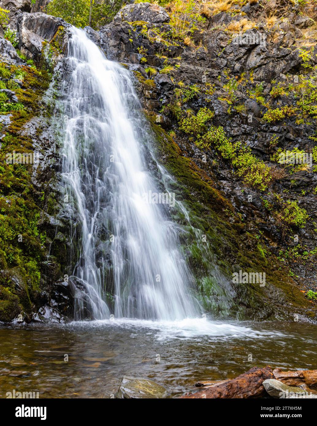 Dog Creek Falls, Columbia River Gorge, Cook, Washington, USA Stock ...