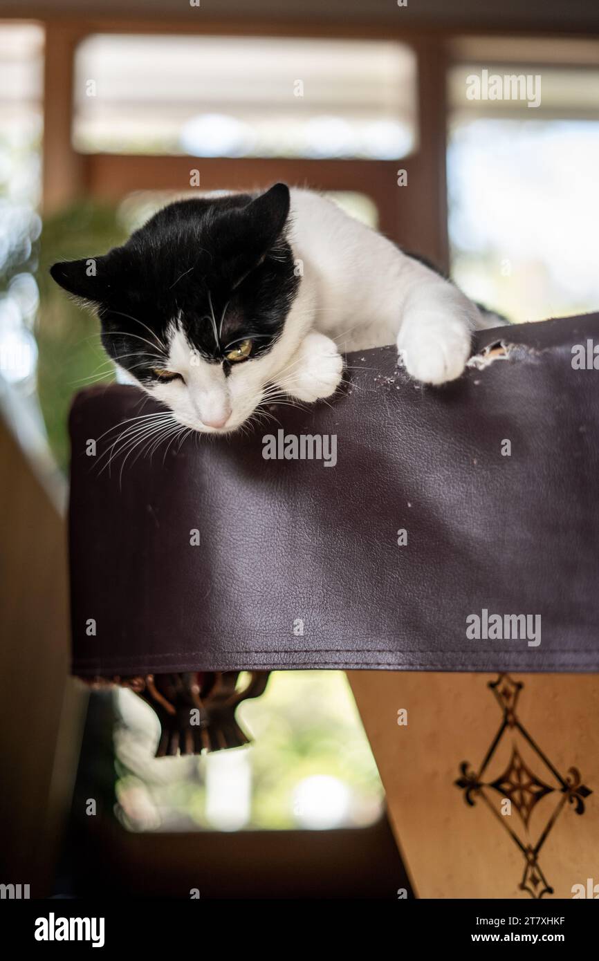 Off table hi-res stock photography and images - Alamy