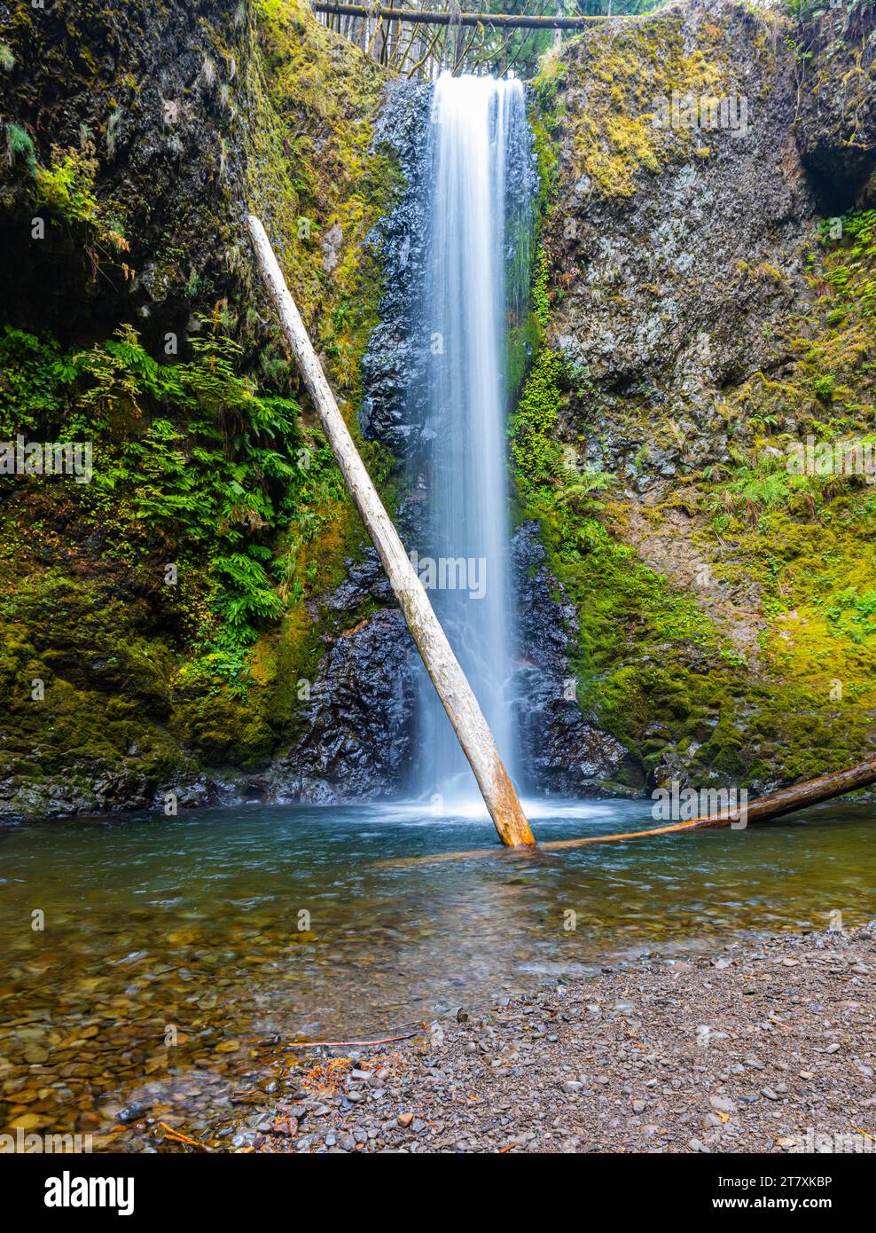Multnomah wahkeena loop trail hi-res stock photography and images - Alamy