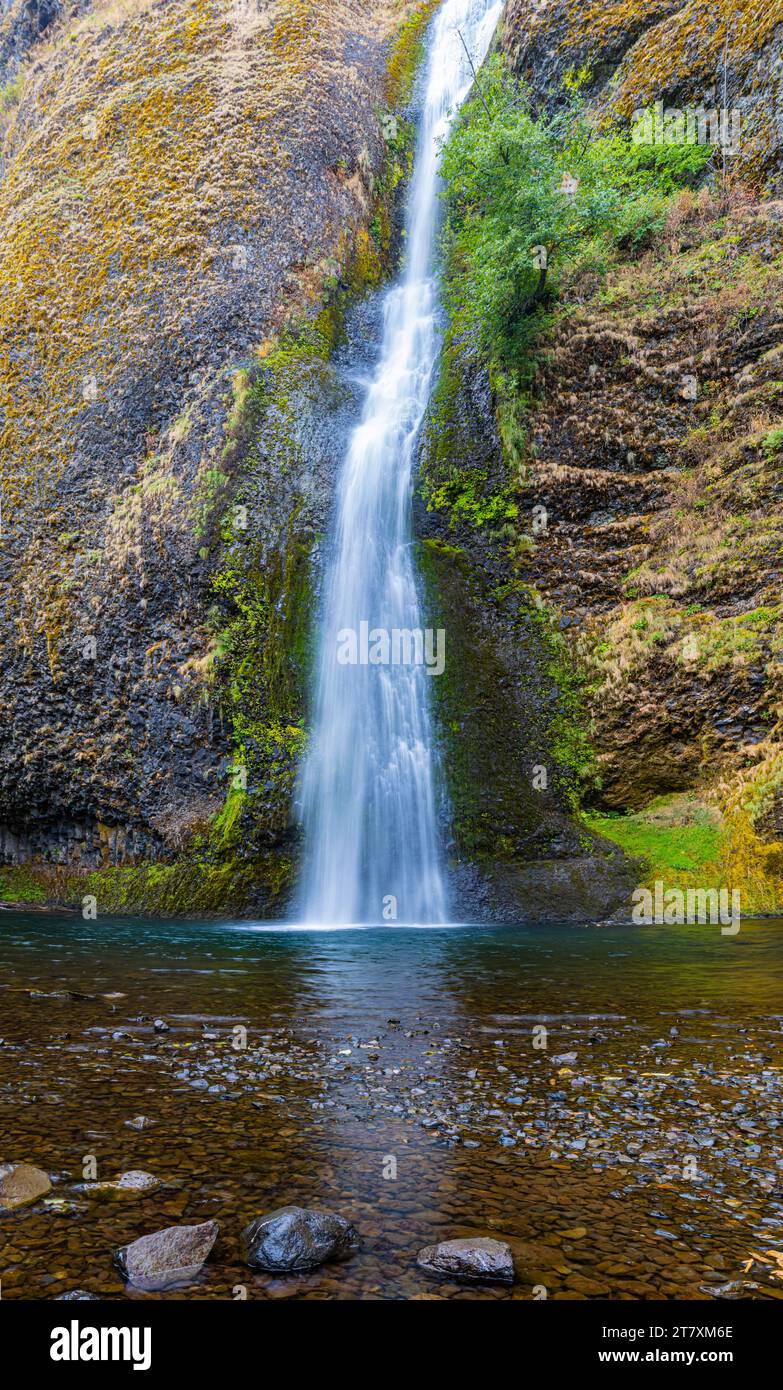Horsetail Falls Plunging Into Pool, Cascade Locks, Columbia River Gorge National Scenic, Area ...