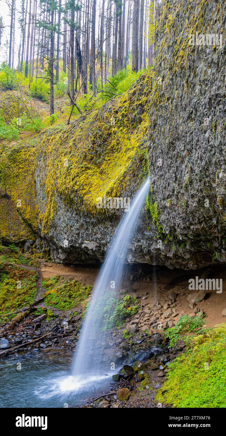 Oregon cascade locks columbia hi-res stock photography and images - Alamy