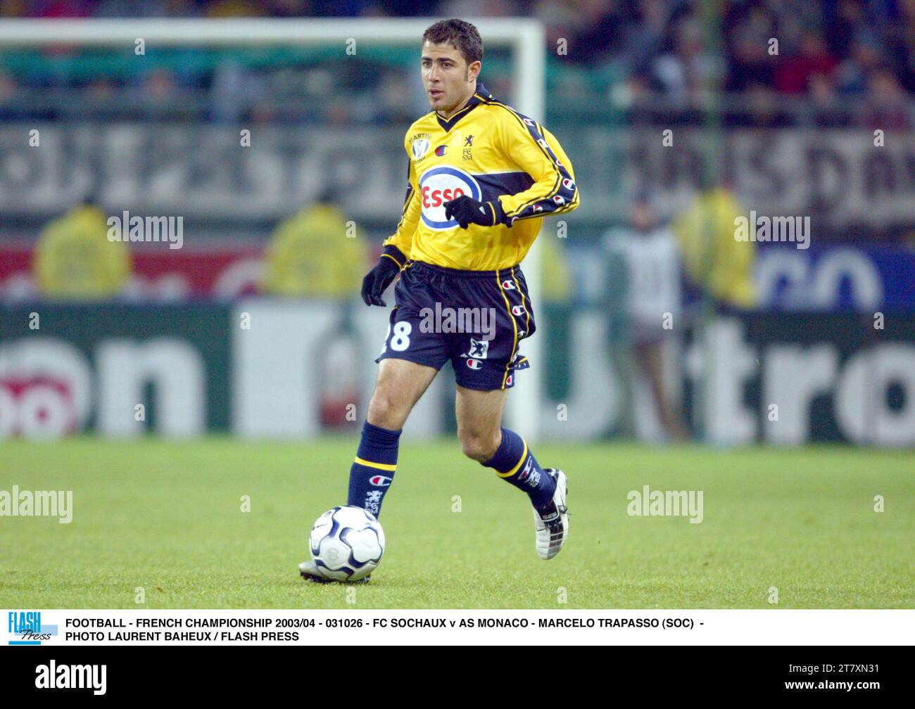 Trapasma hi-res stock photography and images - Alamy