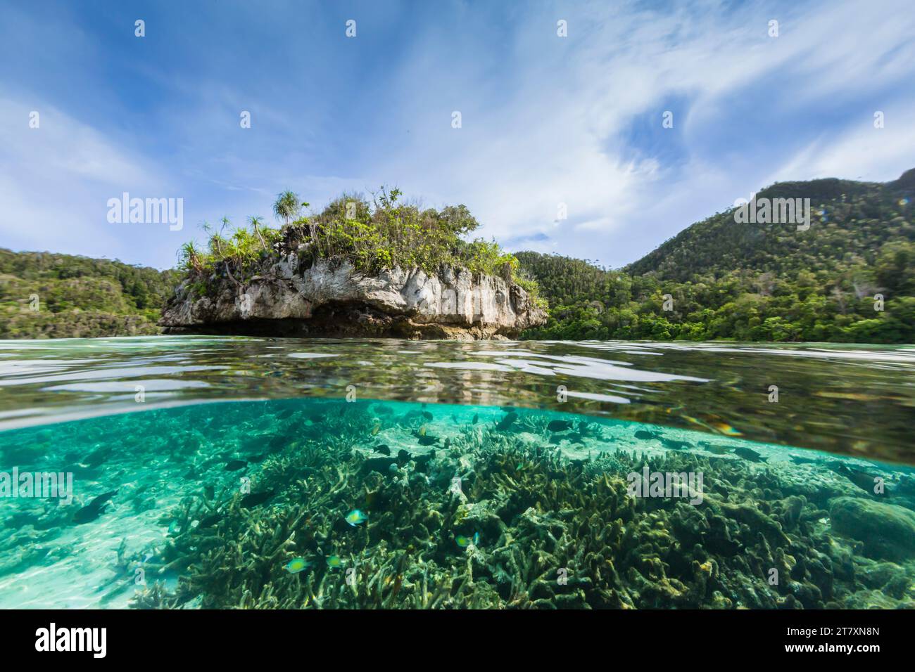 Above and below view of islets covered in vegetation from inside the ...