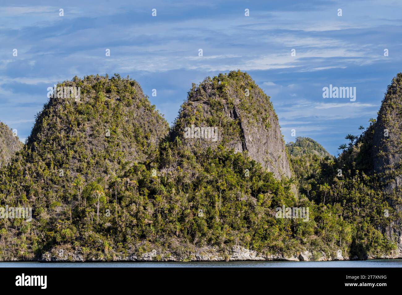 A view of islets covered in vegetation from inside the natural ...