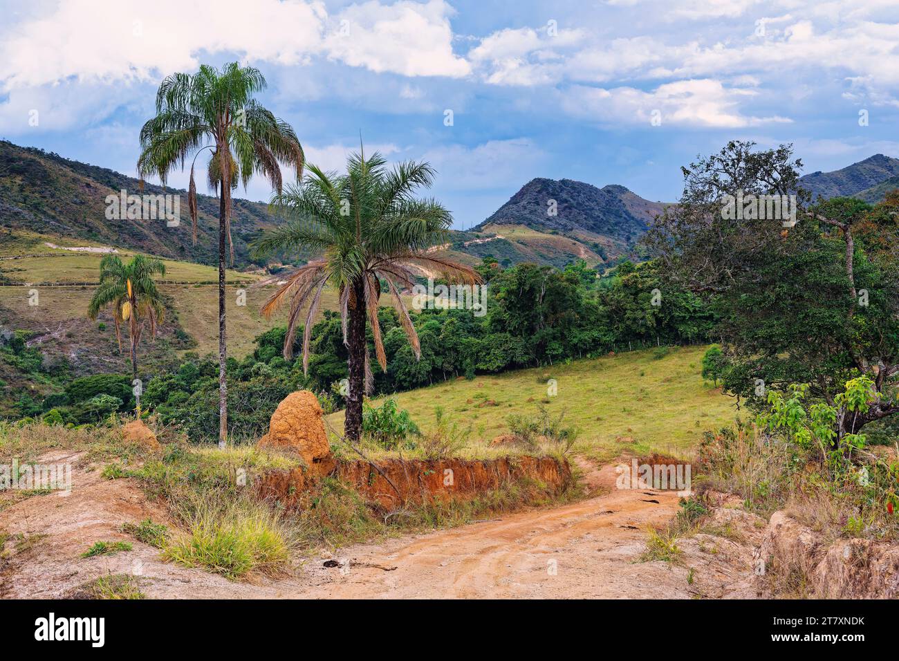 Red soil road, Serra da Canastra landscape, Minas Gerais state, Brazil ...