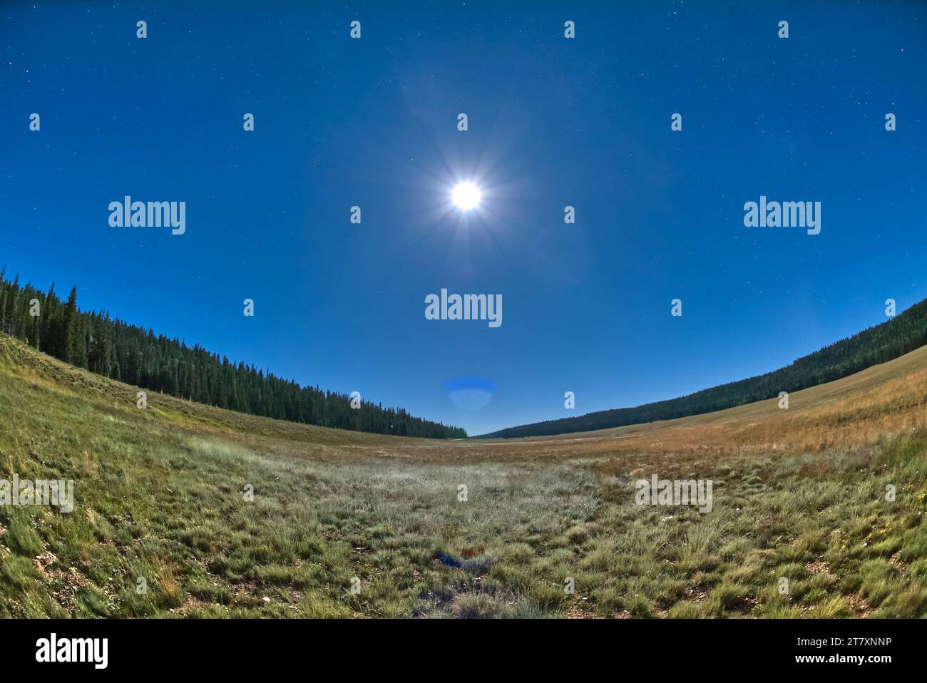 Pleasant Valley looking south illuminated by moonlight, Grand Canyon ...