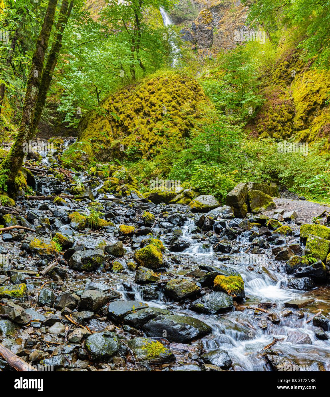Starvation Creek Falls and Cascades on Starvation Creek, Starvation ...
