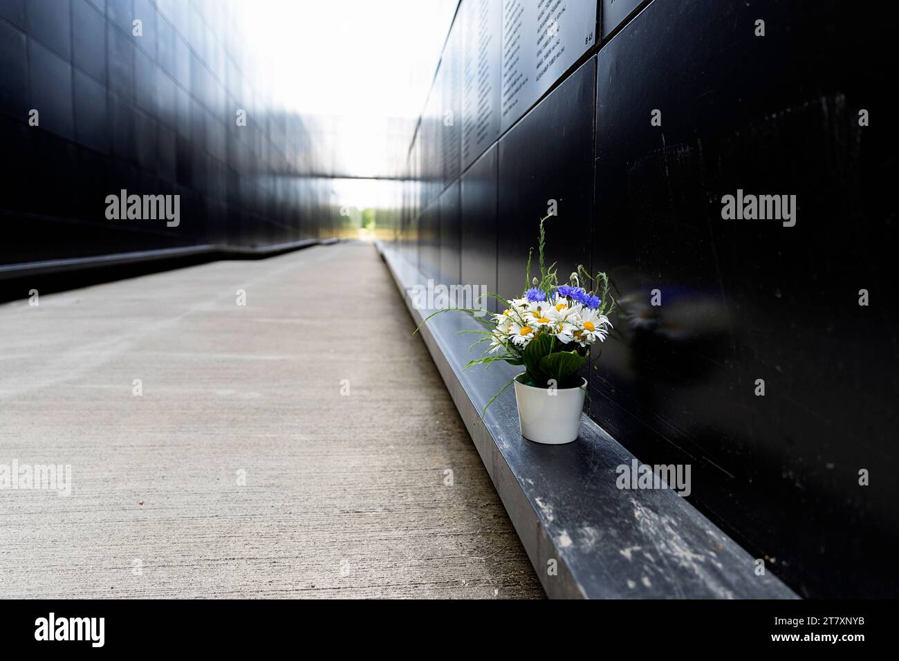 Koduaed hi-res stock photography and images - Alamy