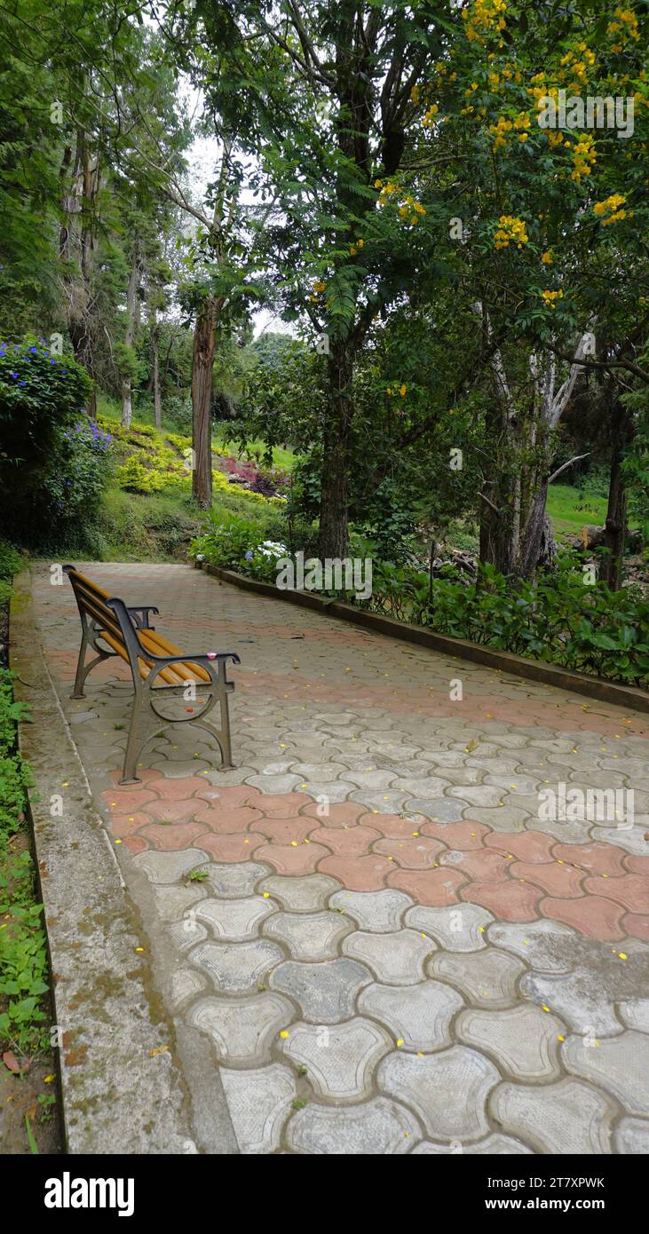 Beautiful scenic garden of Kodaikanal Bryant Park. One of the must ...