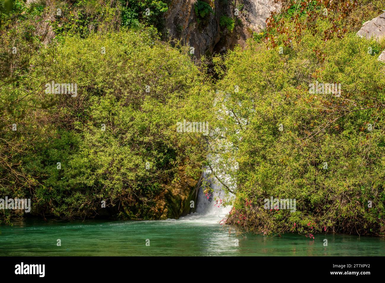 Waterfall in a green landscape with a river pond in Cueva del Gato ...