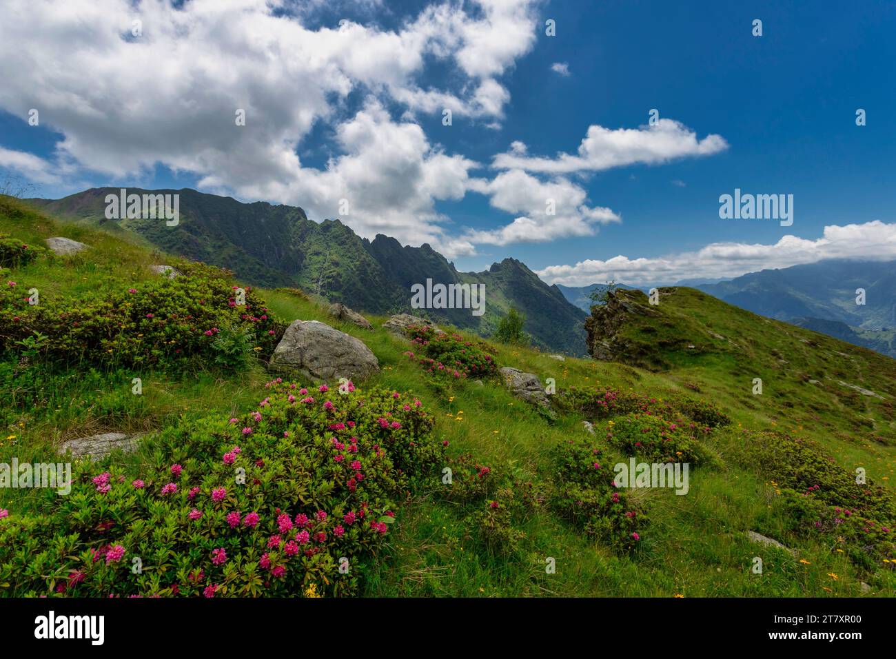Bucolic landscape hi-res stock photography and images - Alamy