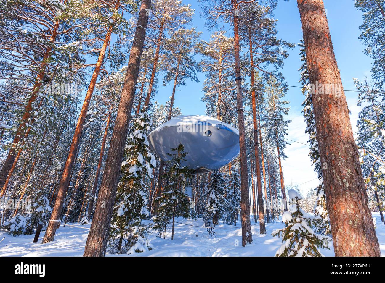 Winter view of UFO shaped room suspended among snow covered tall trees ...