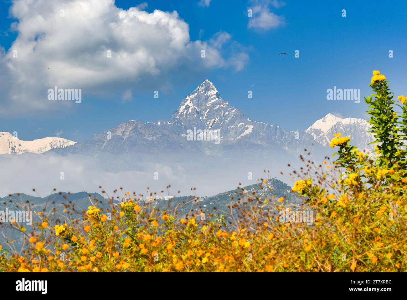 View of the Annapurna peaks from World Peace Stupa, Pokhara, Nepal ...