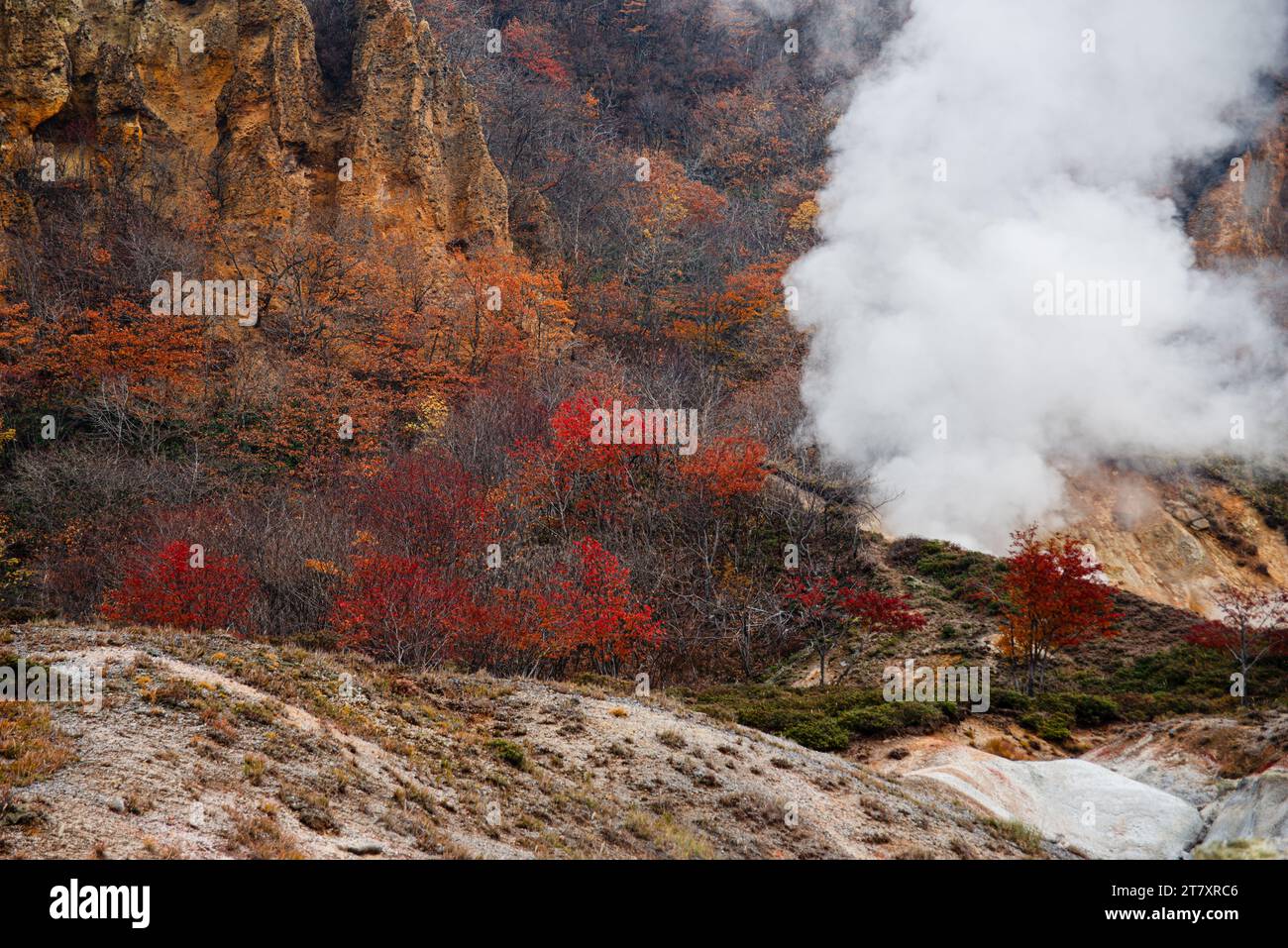 Steep walls, autumn gold and red trees with steam from a volcanic hot ...