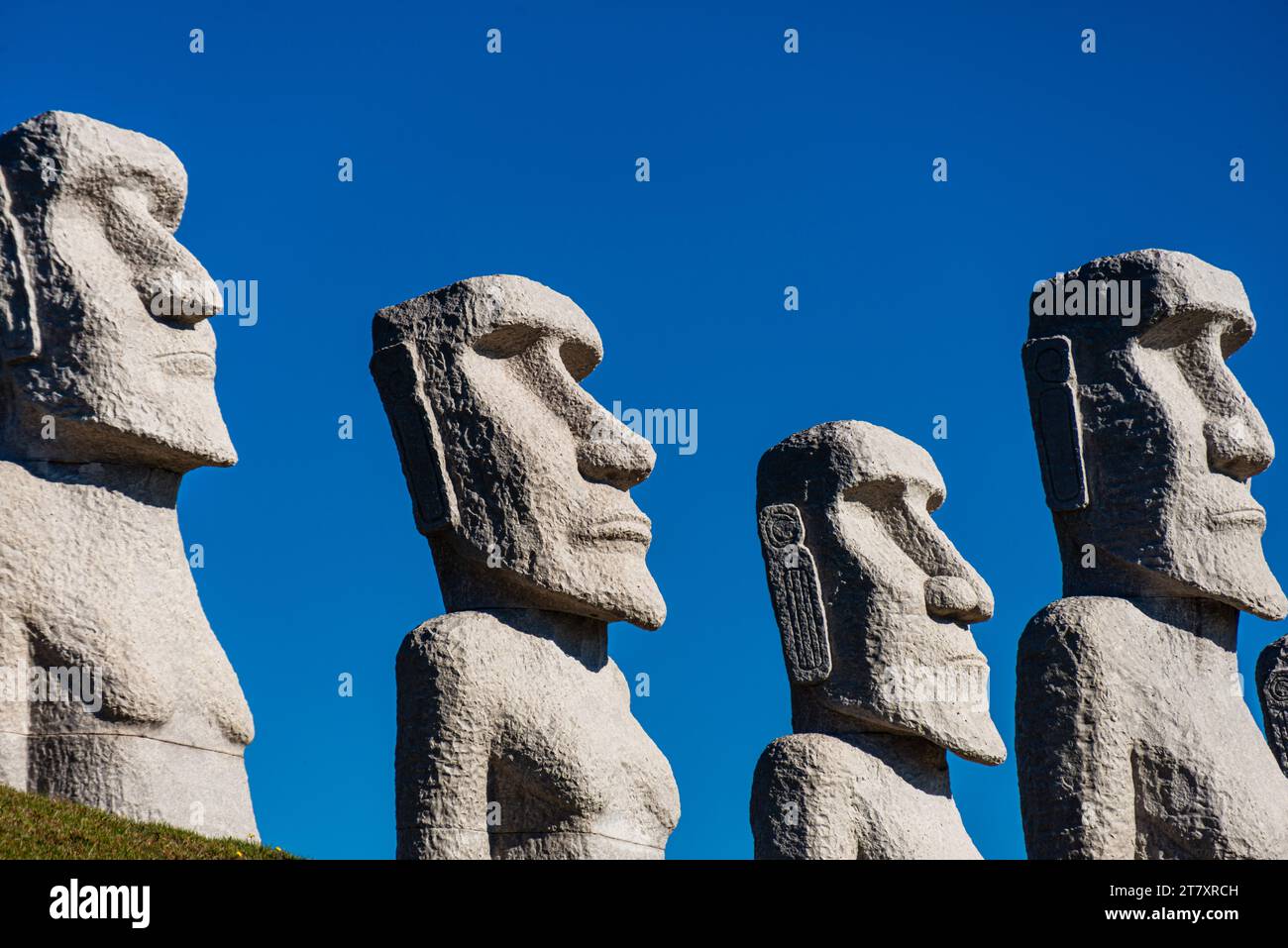 Moai statues against a blue sky, Makomanai Takino Cemetery, Hill of the ...