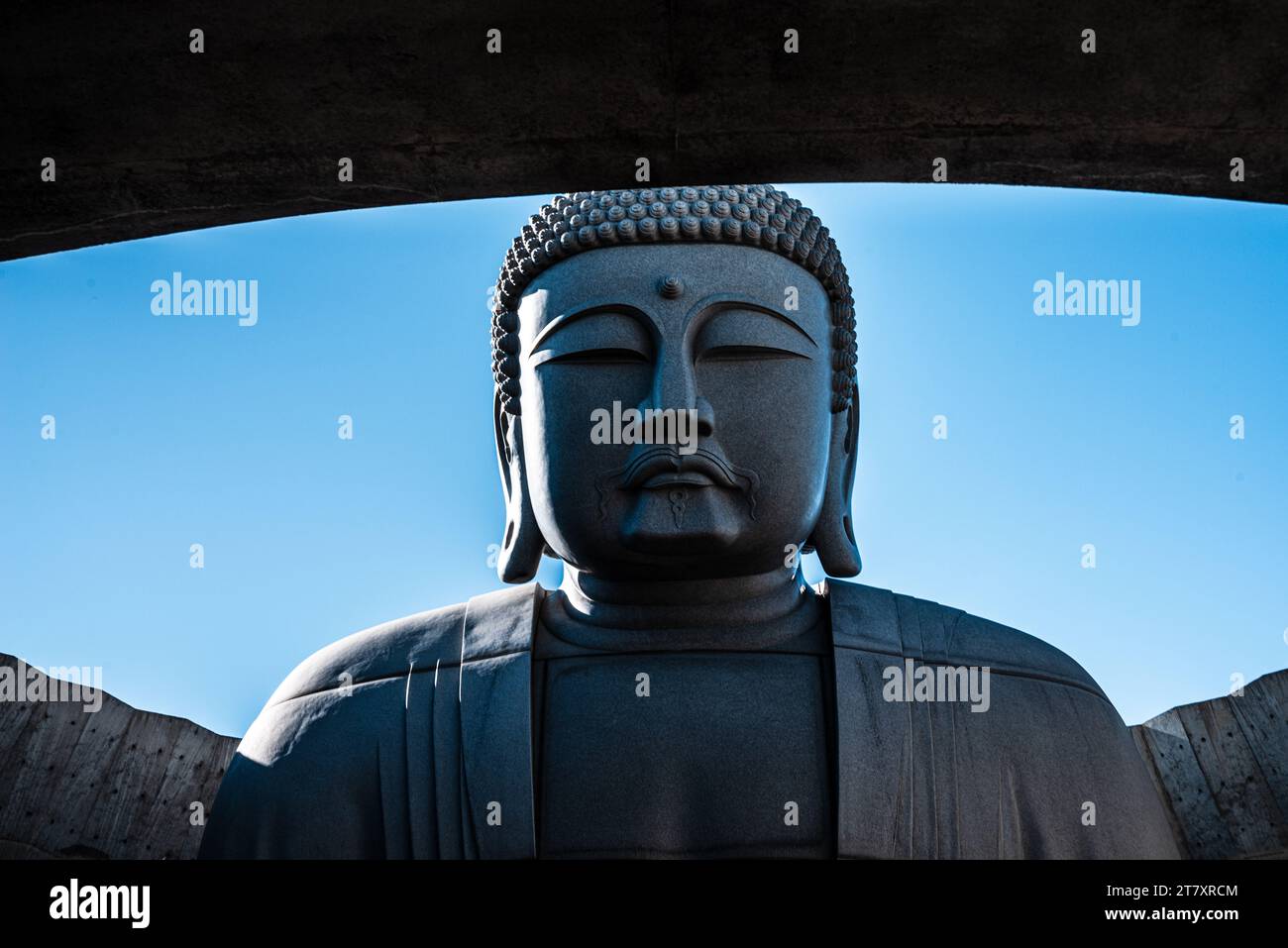Close up of the upper body and head of a giant Buddha statue agains a ...