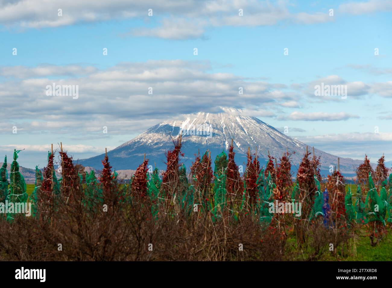 Yotei-zan (Mount Yotei) Volcano of Hokkaido, agricultural scenery in ...