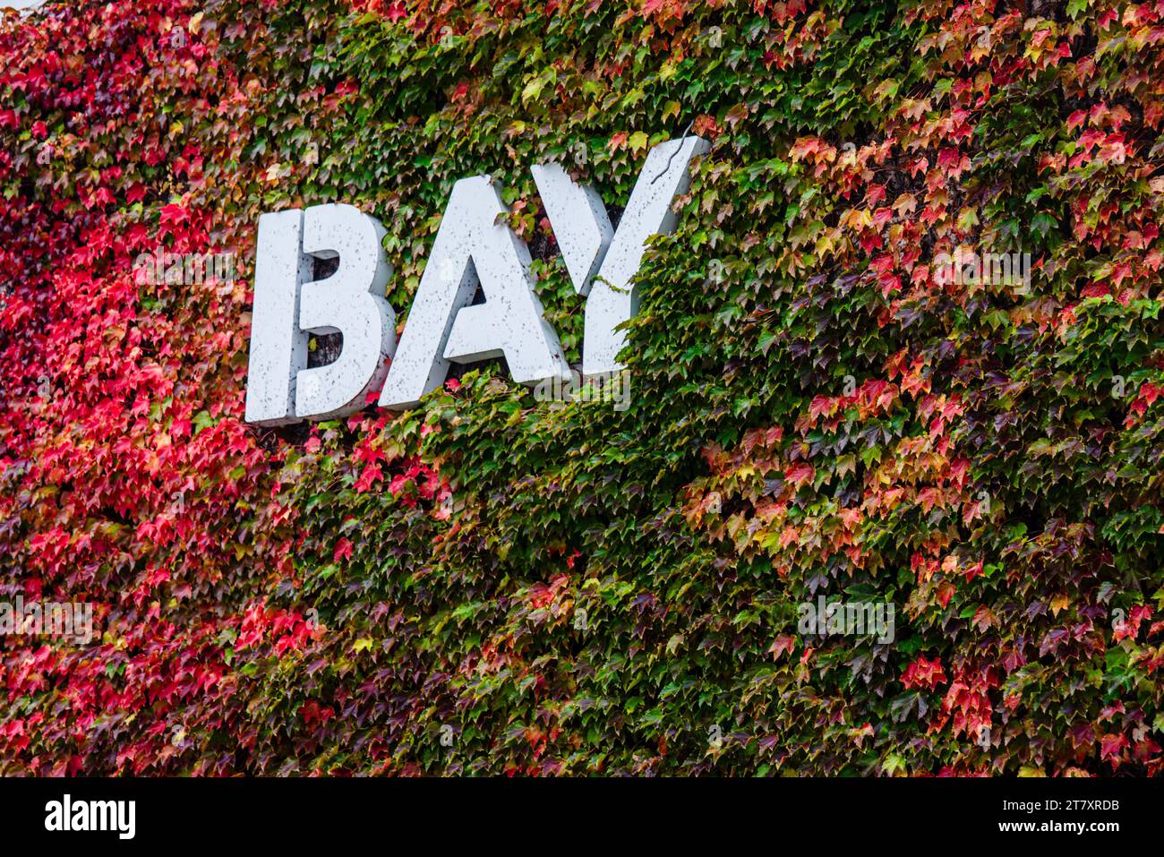 Hakodate bay sign hi-res stock photography and images - Alamy
