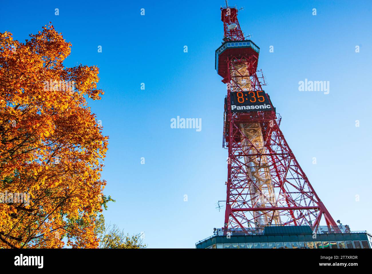 Close up of Sapporo Tower with red maple autumn leaves against blue sky ...