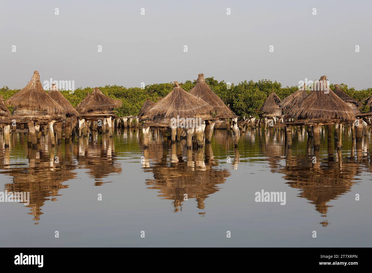 Ancient granaries on an island among mangrove trees, Joal-Fadiouth ...