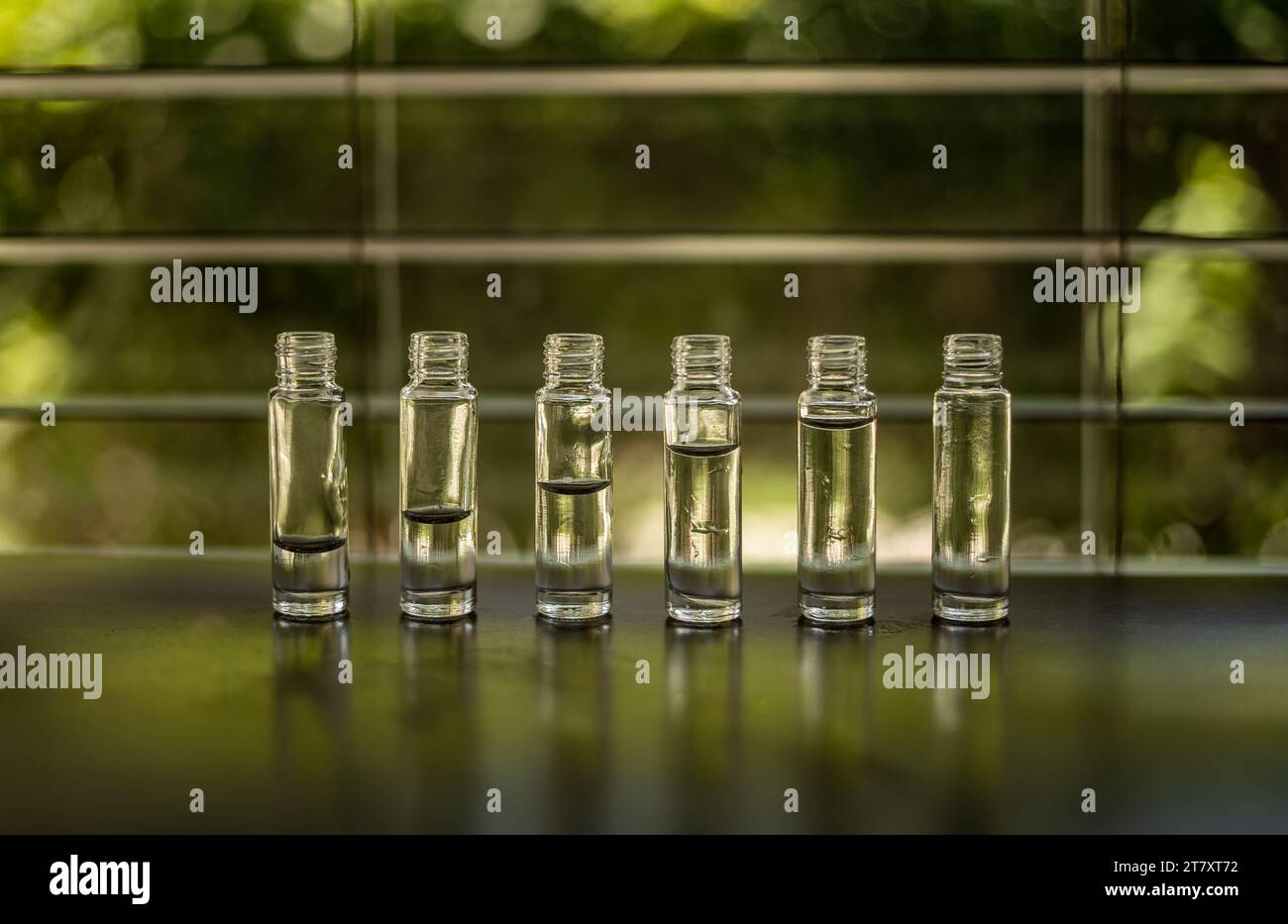 6 pack 2.7 Dram (10 ml) Clear Glass Round Vials Green Blinds Stock ...