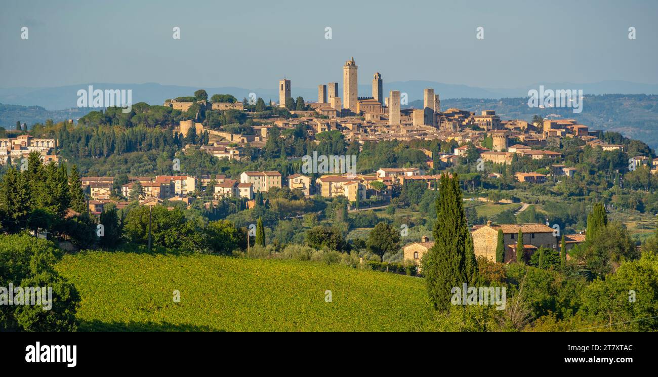 View of vineyards and San Gimignano skyline, San Gimignano, Province of ...