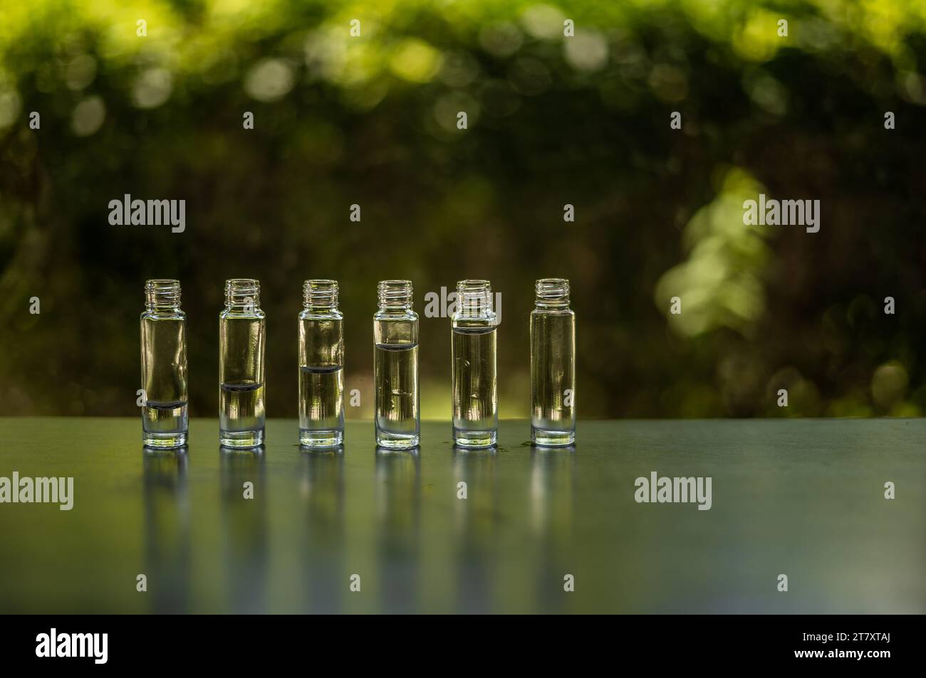 Tropical Clear Oil 6 pack 2.7 Dram (10 ml) Clear Glass Round Vials ...