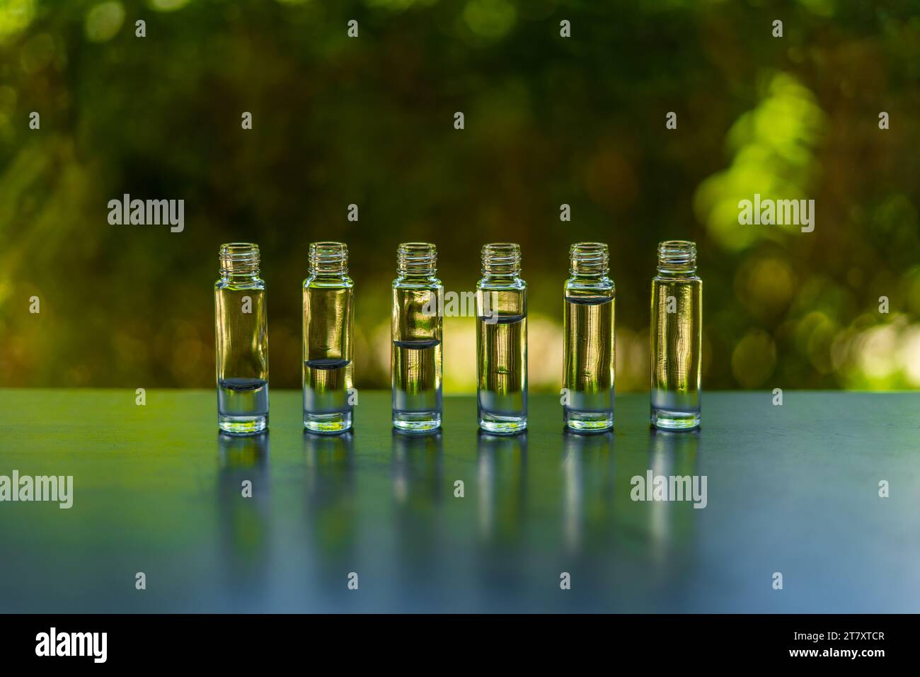 Vibrant Color Fresh Clean 6 pack 2.7 Dram (10 ml) Clear Glass Round ...