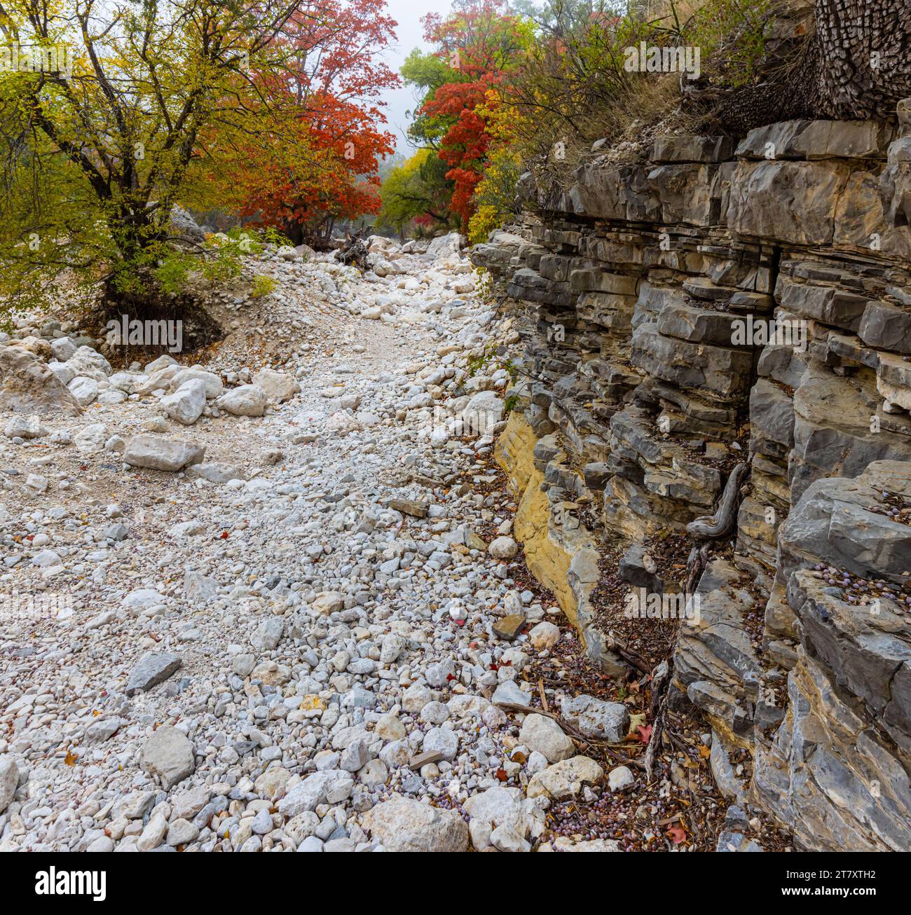 Terraced Ledge and Fall Foliage on The Dry Wash of Devils Hall Trail ...