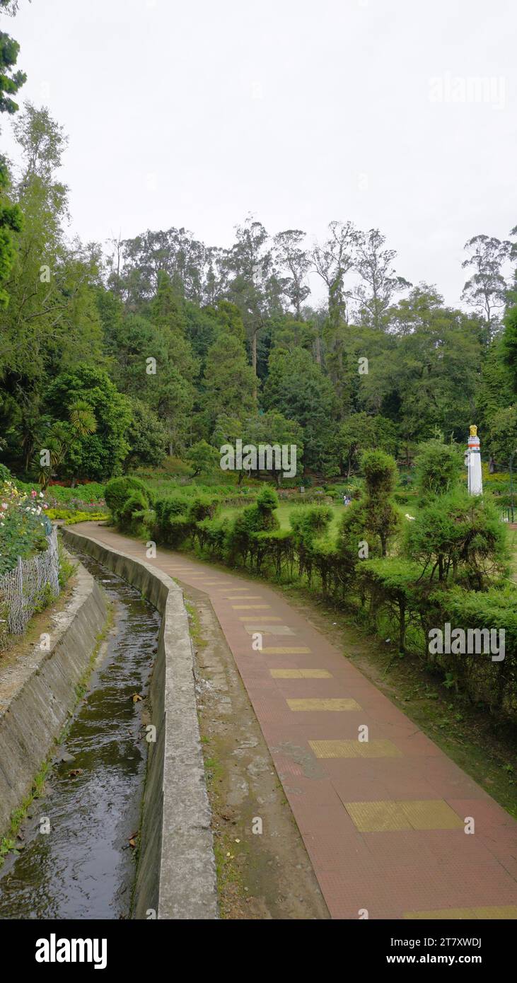 Beautiful scenic garden of Kodaikanal Bryant Park. One of the must ...