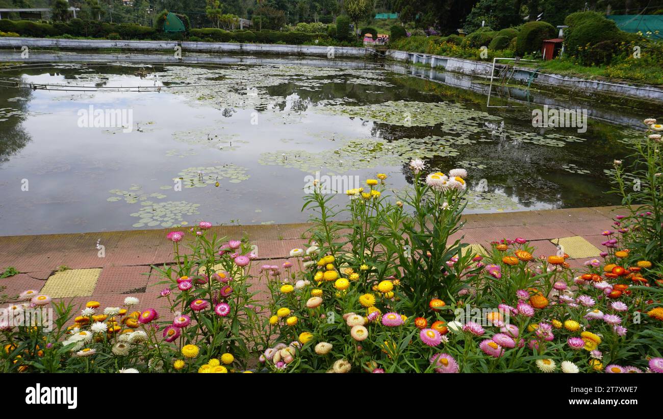 Beautiful scenic garden of Kodaikanal Bryant Park. One of the must ...
