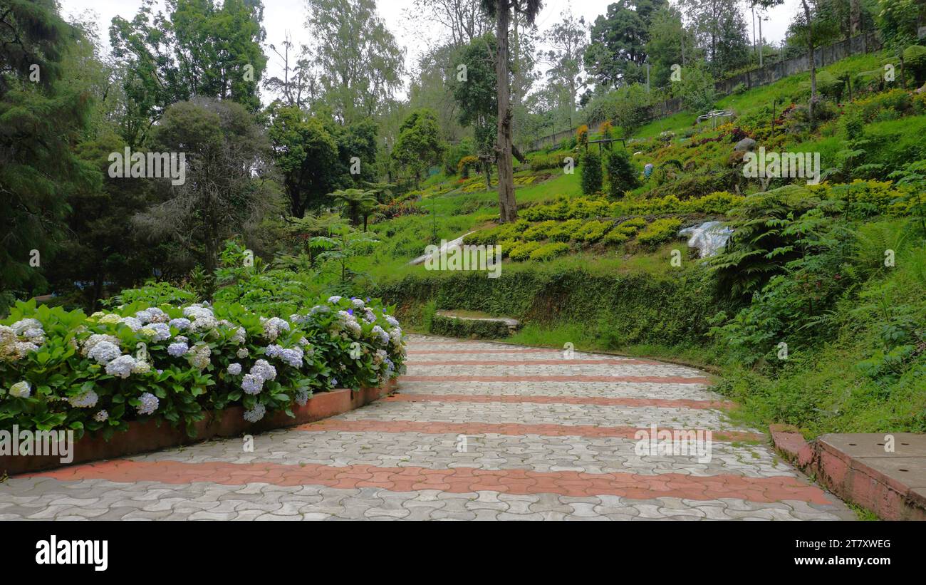Beautiful scenic garden of Kodaikanal Bryant Park. One of the must ...