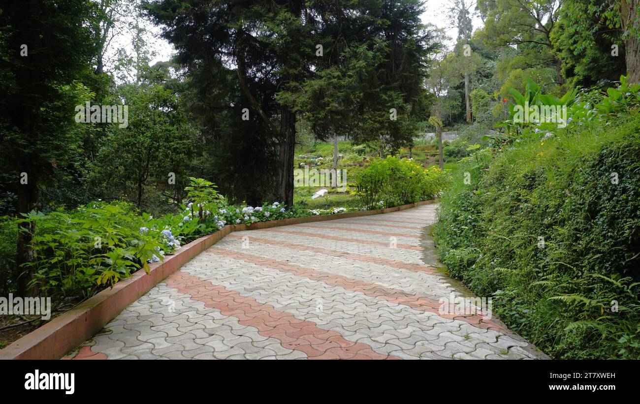 Beautiful scenic garden of Kodaikanal Bryant Park. One of the must ...