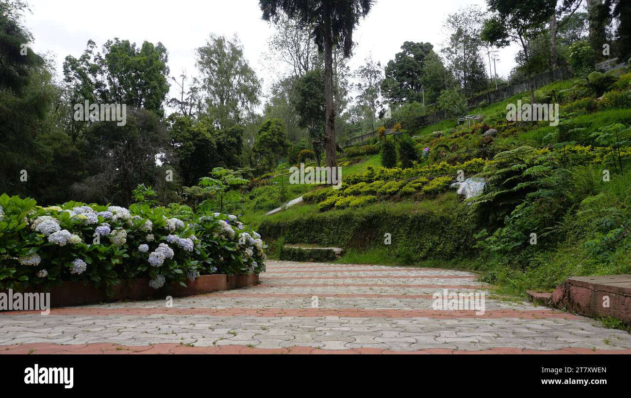 Beautiful scenic garden of Kodaikanal Bryant Park. One of the must ...