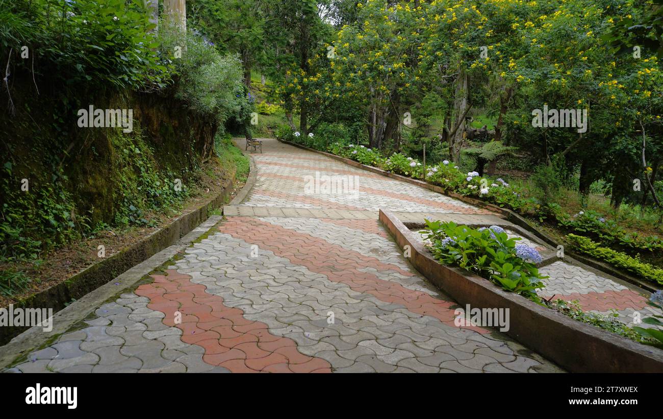 Beautiful scenic garden of Kodaikanal Bryant Park. One of the must ...