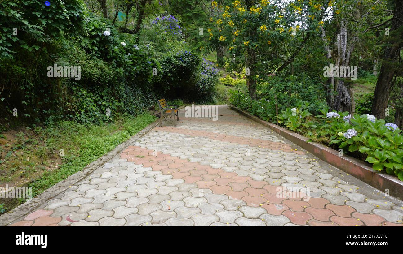 Beautiful scenic garden of Kodaikanal Bryant Park. One of the must ...