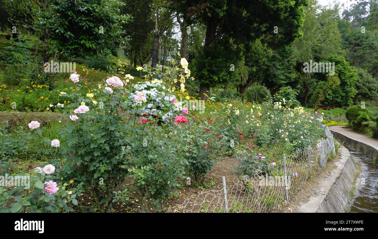 Beautiful scenic garden of Kodaikanal Bryant Park. One of the must ...