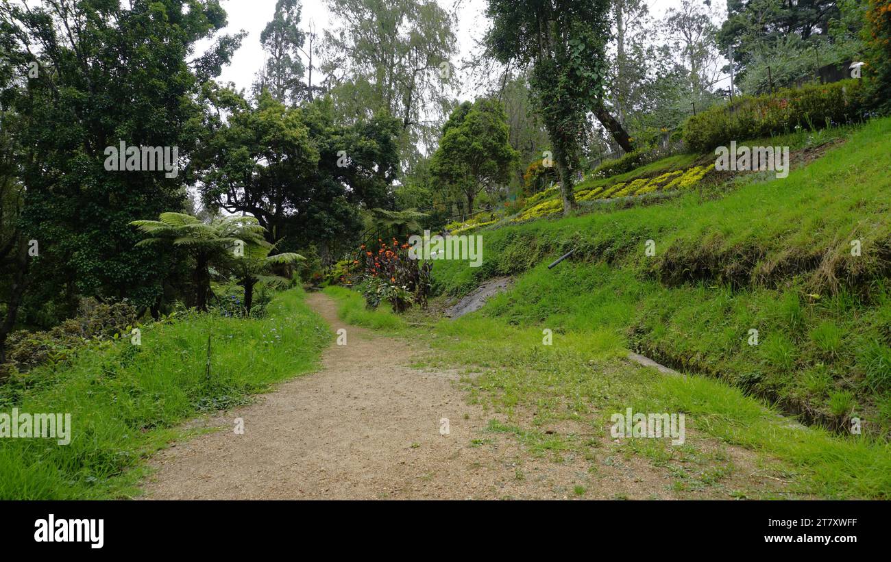 Beautiful scenic garden of Kodaikanal Bryant Park. One of the must ...