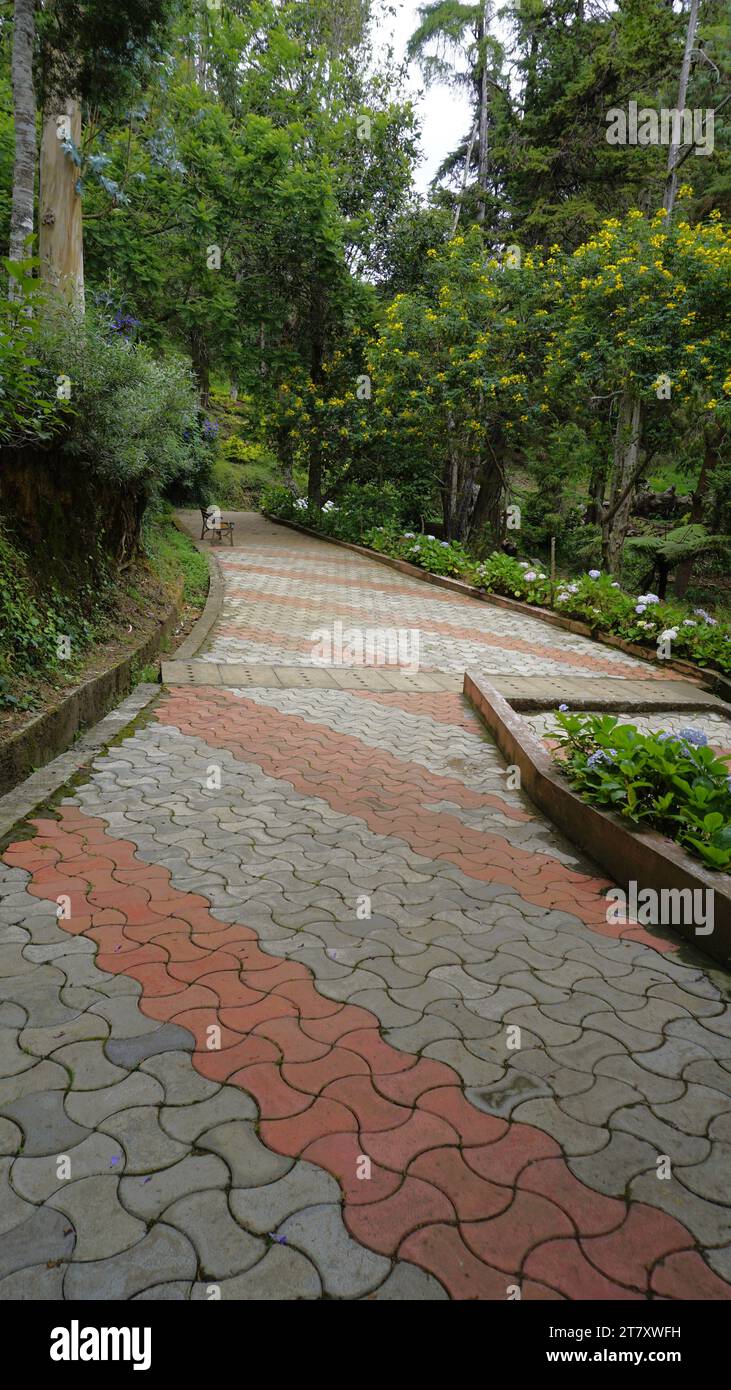 Beautiful scenic garden of Kodaikanal Bryant Park. One of the must ...